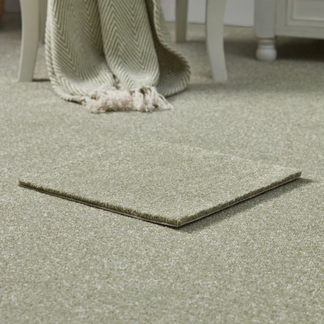 Home carpet store
